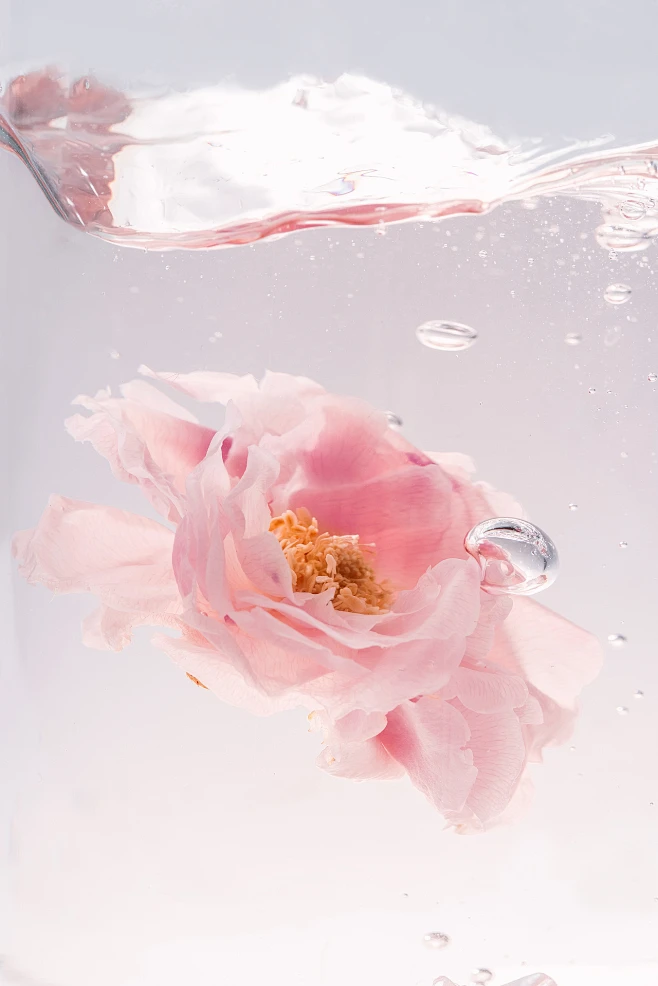 花瓣灵感详情页-花瓣网