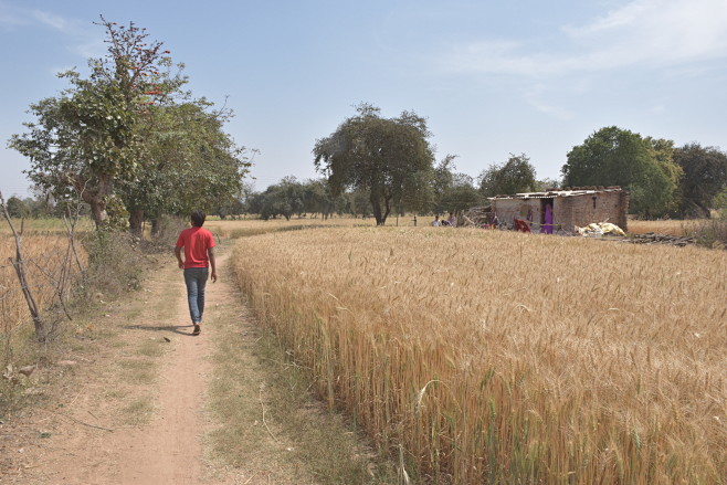 India_Countryside_039