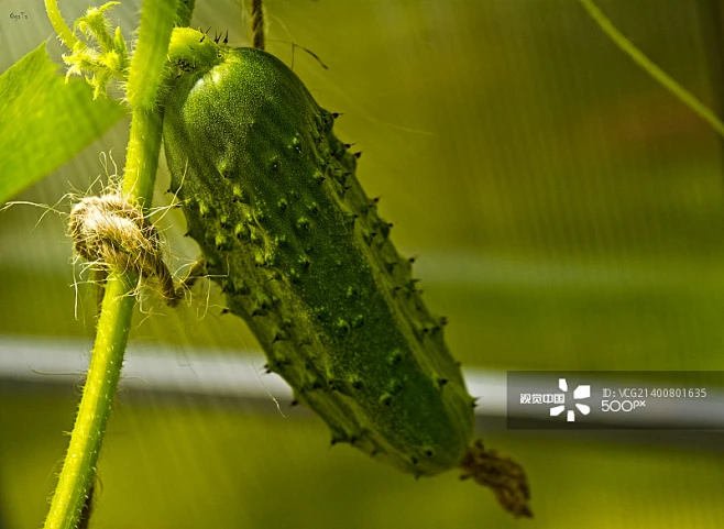 花瓣灵感详情页-花瓣网