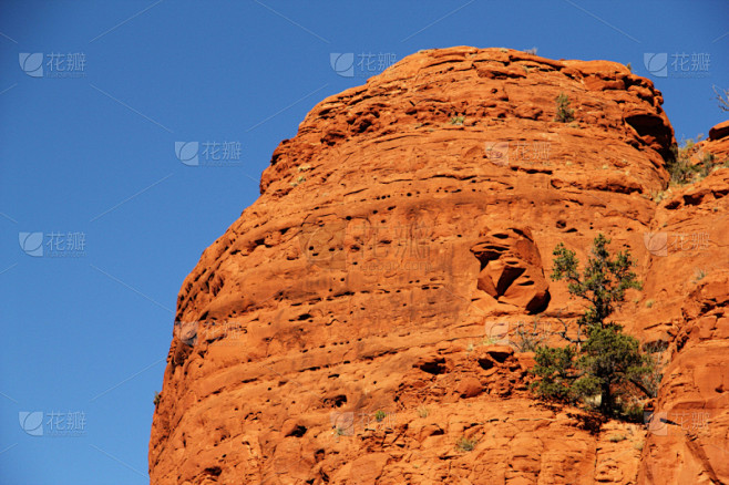 红岩石,鹰,自然,式样,朱砂悬崖,红石州立公园,孤峰群,塞多纳,天空,美