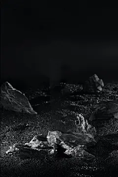 8d7fe22485269545059a6cd13293a2313a809c92e2504-0piTwT_fw658webp-花瓣网