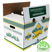 ArtStation - Renegade, Valentin Demchenko