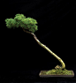 www.jonathan-singer-photography.com #bonsai #gardening