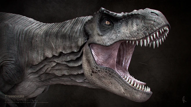 gregor-ruf-t-rex-03-1080图片_恐龙图片素材-花瓣网