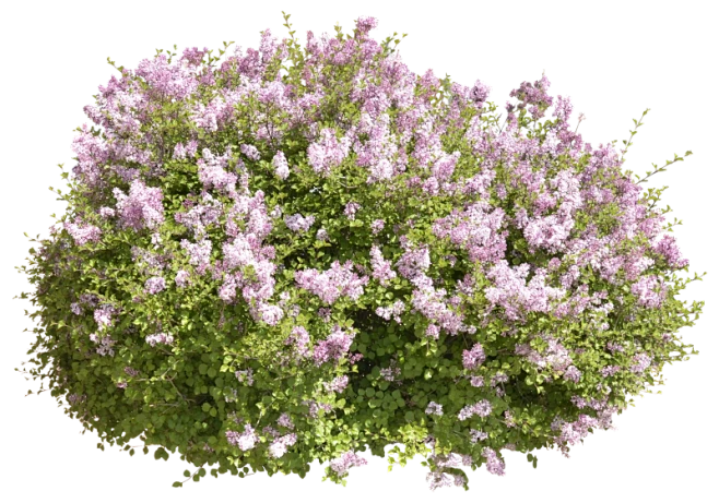 花瓣灵感详情页-花瓣网