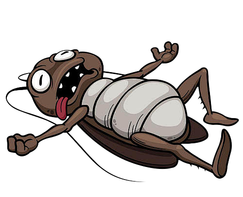 蟑螂 驱虫 手绘蟑螂