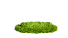 grass_podium_obj 2-花瓣网