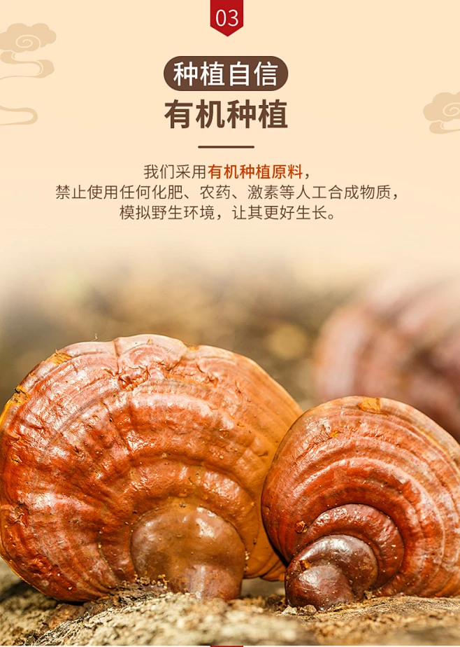 3g*30袋】康恩贝破壁灵芝孢子粉增强免疫力非长白山林芝袍子粉-tmall.com天猫-花瓣网