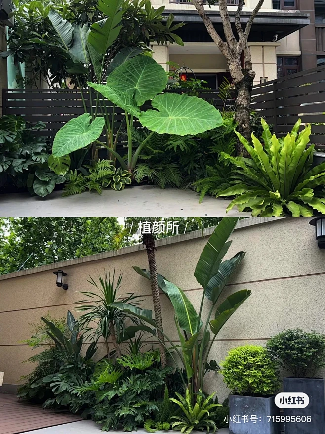 IMG_1896[1]-花瓣网