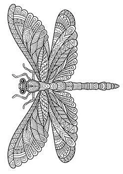 Mindfulness Coloring Page - 7 Insects by MR PYP | Teachers Pay Teachers-花瓣网