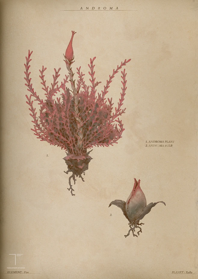 Alien Flora-花瓣网