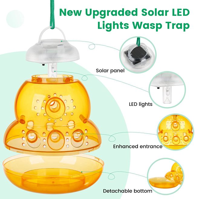Amazon.com : Solar Wasp Trap Outdoor Hanging - New Upgrade LED Blue ...