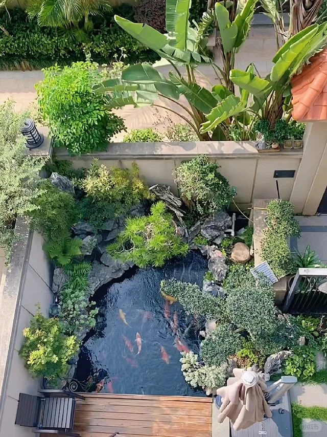 庭院鱼池 - 小红书搜索-花瓣网