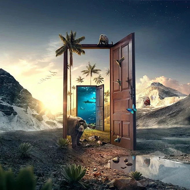 有趣的广告想法Proexport 2014 on Behance-花瓣网