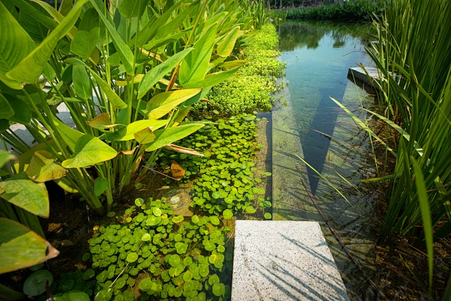 SCG | LANDSCAPE COLLABORATION : The core concept under which LAB ...