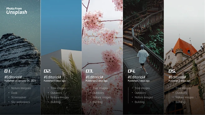 5图片排版 PPT内容页 @多梦PPT⇦ https://huaban.com/user/tooodream-花瓣网