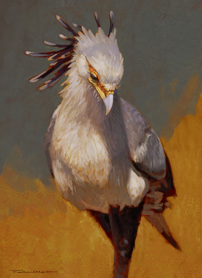 Secretary bird study