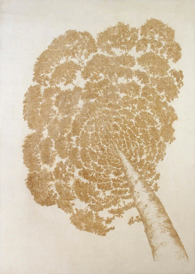 花瓣灵感详情页-花瓣网