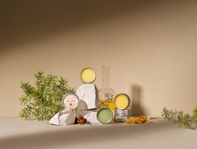 花瓣灵感详情页-花瓣网