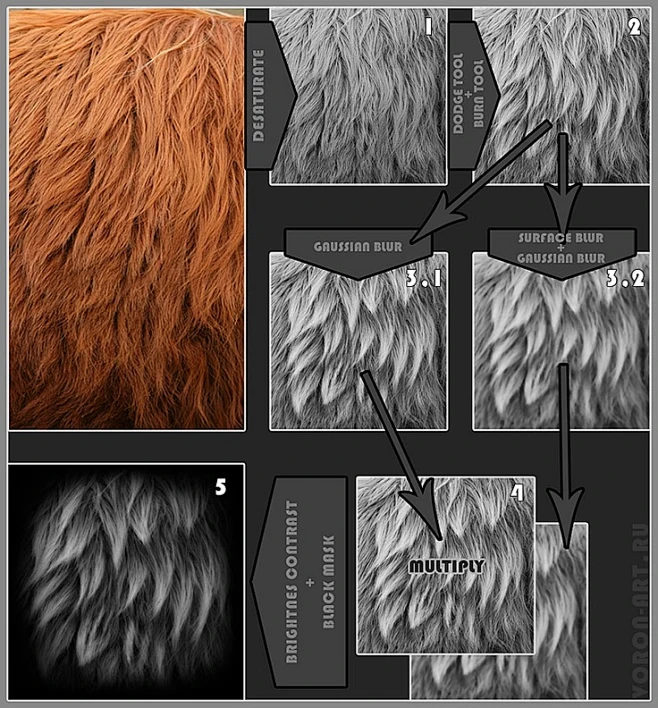 fur alpha for zbrush-花瓣网