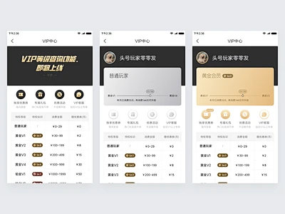 VIP-P1 VIP设计应用程序图标ui-花瓣网