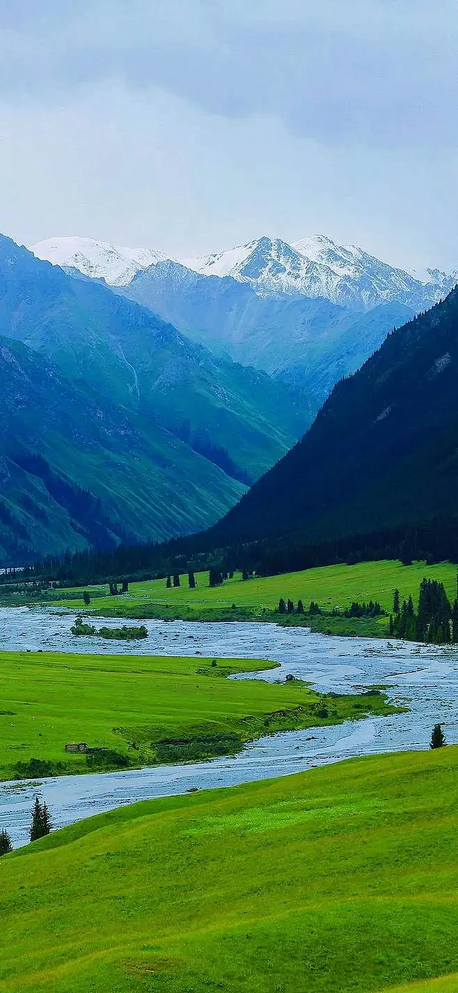 webp (23).webp-花瓣网