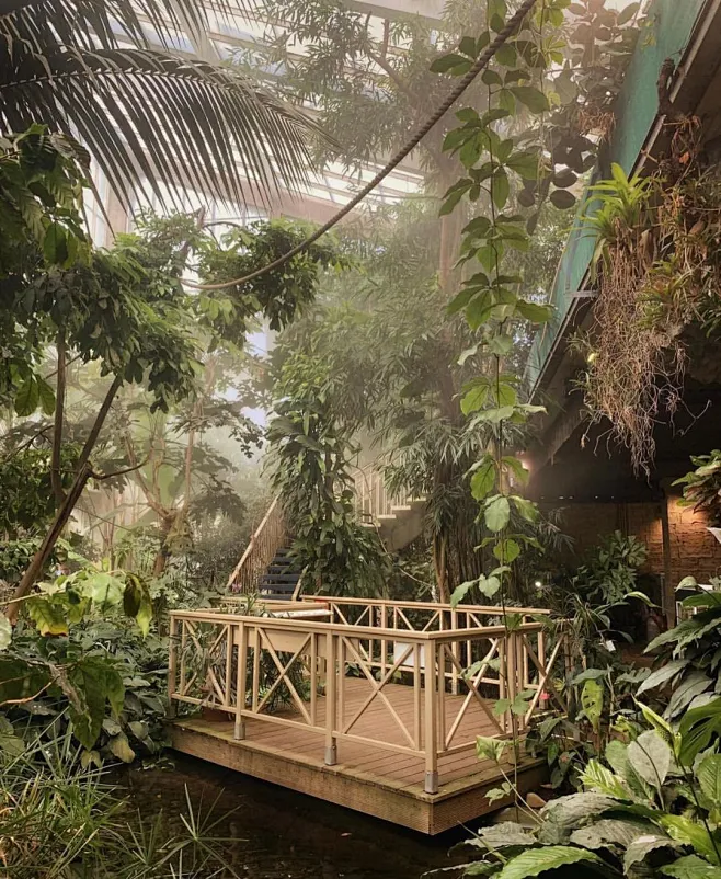 Hello Plant Lover on Instagram: “1, 2, 3, 4 or 5? Which jungle corner ...