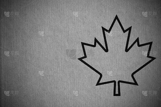 加拿大的枫叶