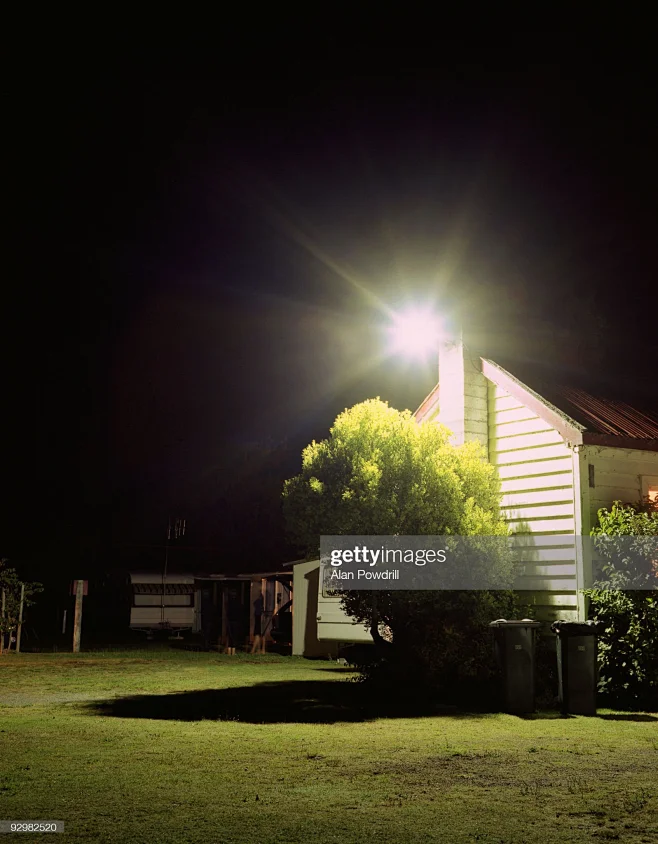House bush light-花瓣网