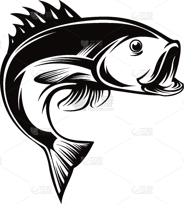 fish and fishing logo design