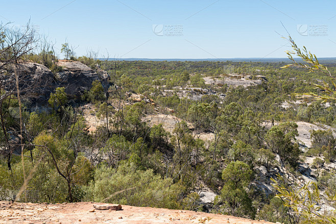 Sawpit峡谷，白山国家公园