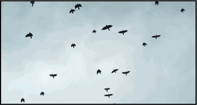 src=http%3A%2F%2Fwww.uuudoc.com%2Fimg ...