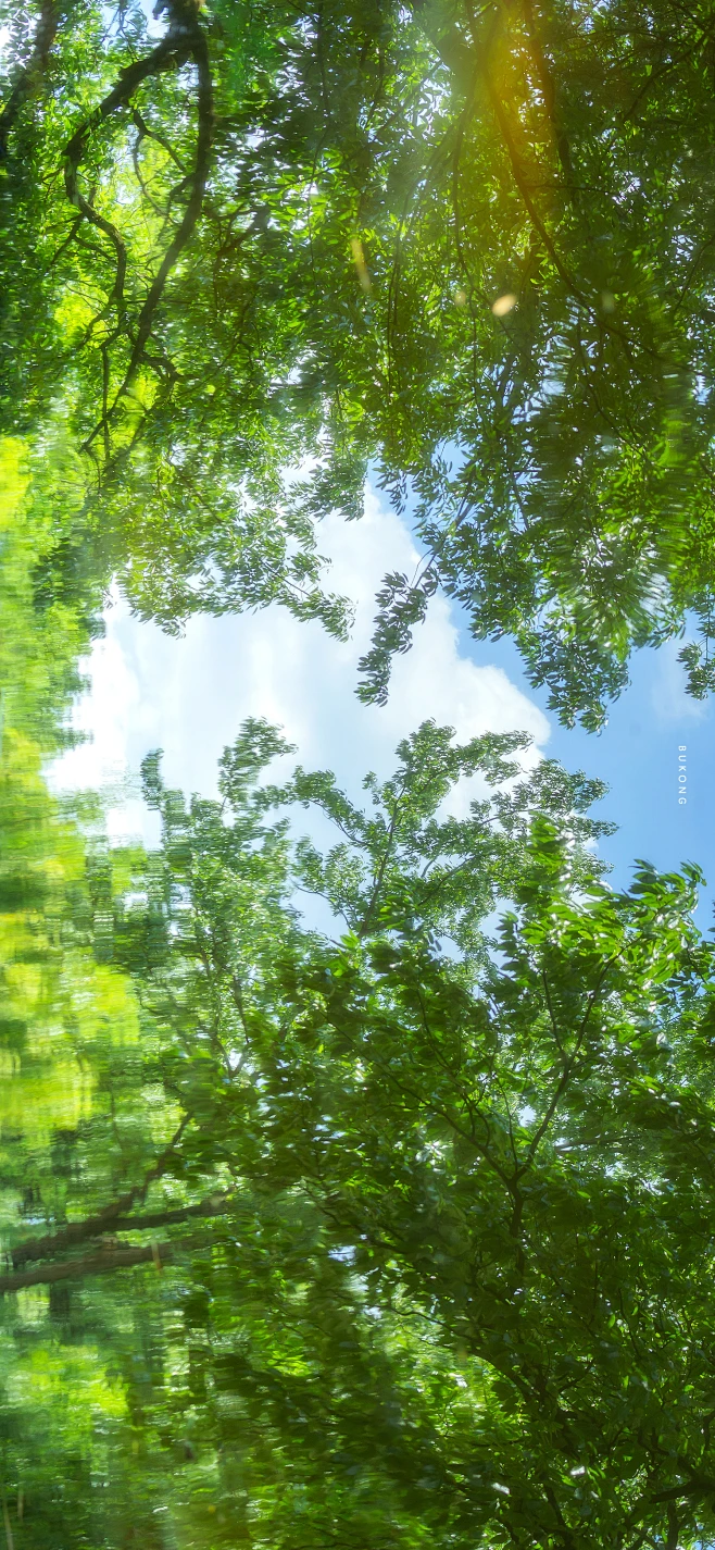 005J189lgy1h2myga0o29j315o2i8b2b.jpg (1500×3248)-花瓣网