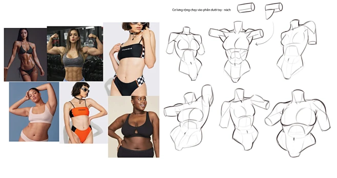 some anatomy studies-花瓣网