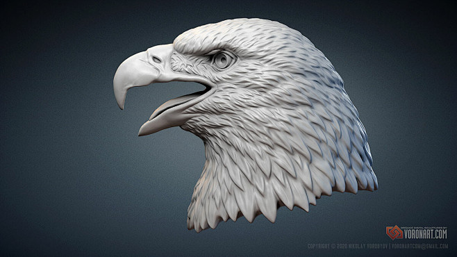 nikolay-vorobyov-bald-eagle-hex-sculpture-3d-model-04