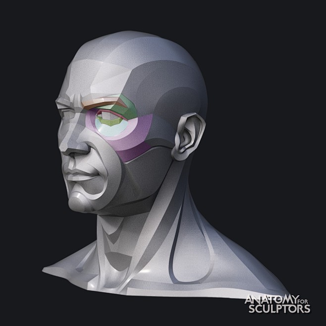 Male head 3D model block-out