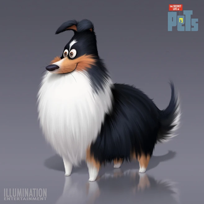 pets_chars_shetland_lg-花瓣网
