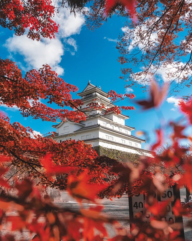 Photo by Kyoko Ueda / Japan Travel on November 07, 2024.-花瓣网