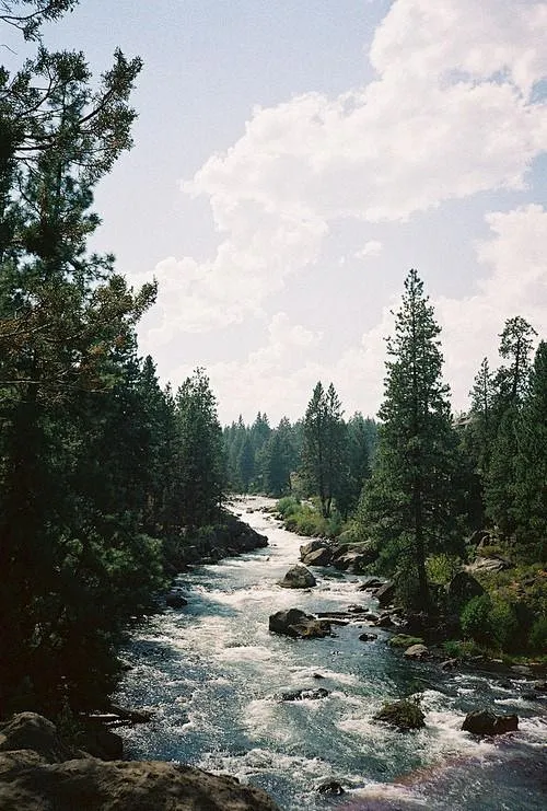 (30) Pinterest-花瓣网