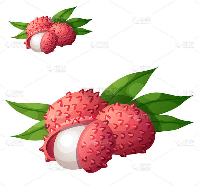 Lychee fruit. Cartoon vector icon isolated