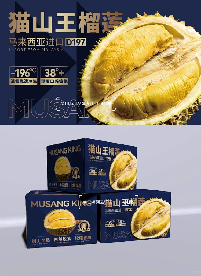 猫山王榴莲包装盒设计丨品牌包装设计