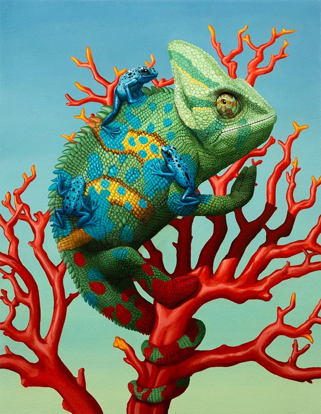 动植物：Joy Ching的画作-古田路9号-品牌创意/版权保护平台图片_画图片素材-花瓣网