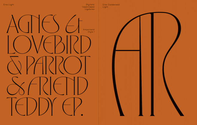 bird eros font fonts graphic design ILLUSTRATION typography Violaine ...