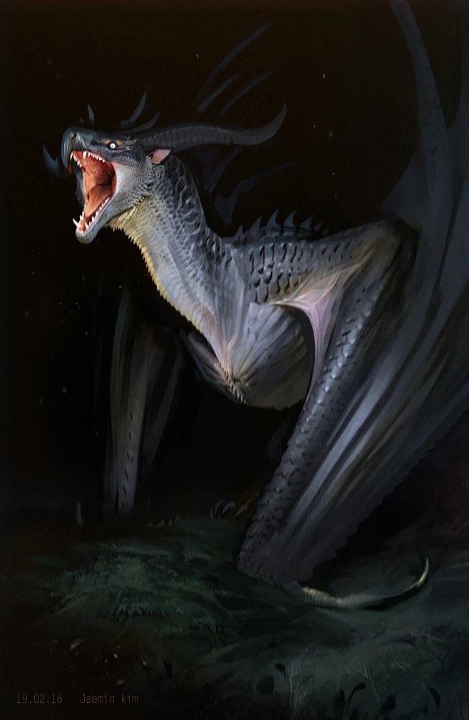 DRAGON, Jaemin Kim-花瓣网