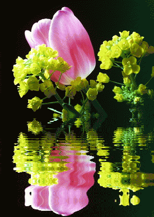 点击查看源网页-花瓣网