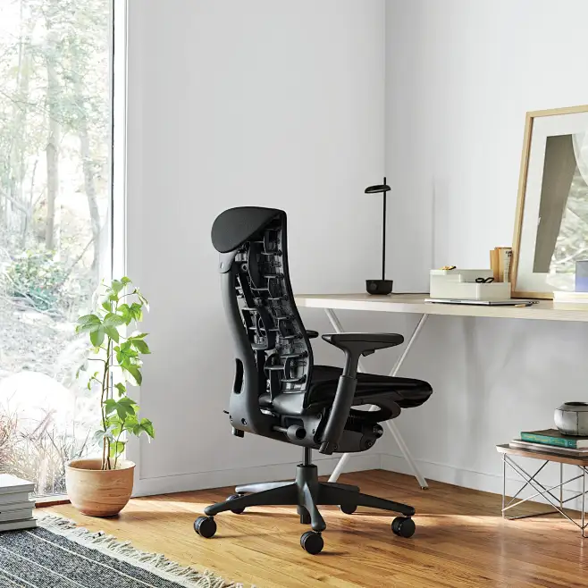 Embody Chair : Shop the Embody® Chair by Herman Miller at 2Modern. Free ...