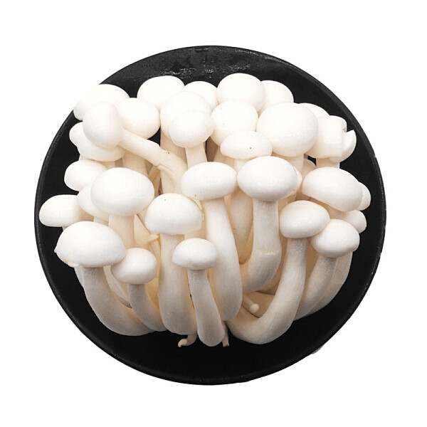 博多客 白玉菇 150g/盒 新鲜蔬菜 菌类时鲜菌类新鲜 蘑菇 日天 生鲜【价格、品牌、报价】-1号店