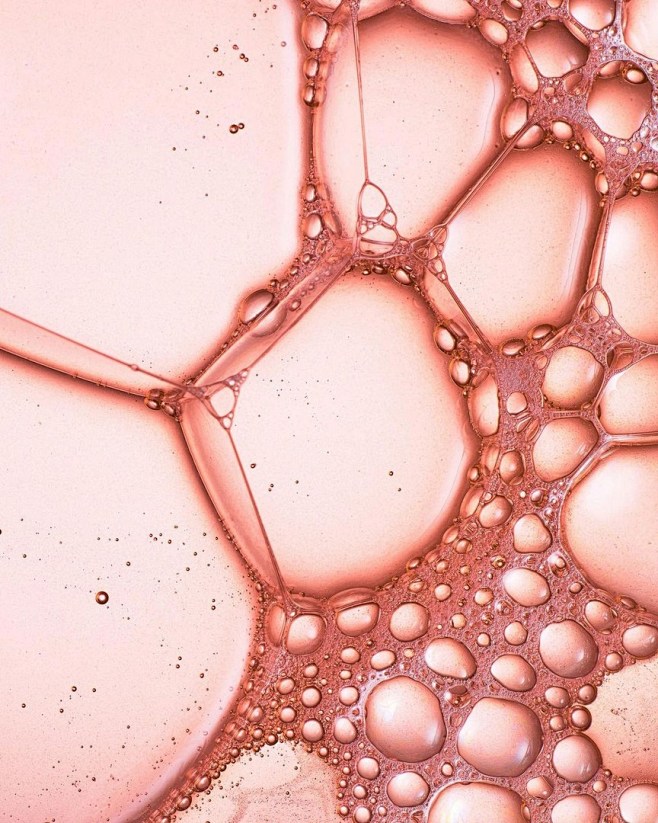 gxl_61e09ba5-e348-4eec-aaa6-50eaac110005