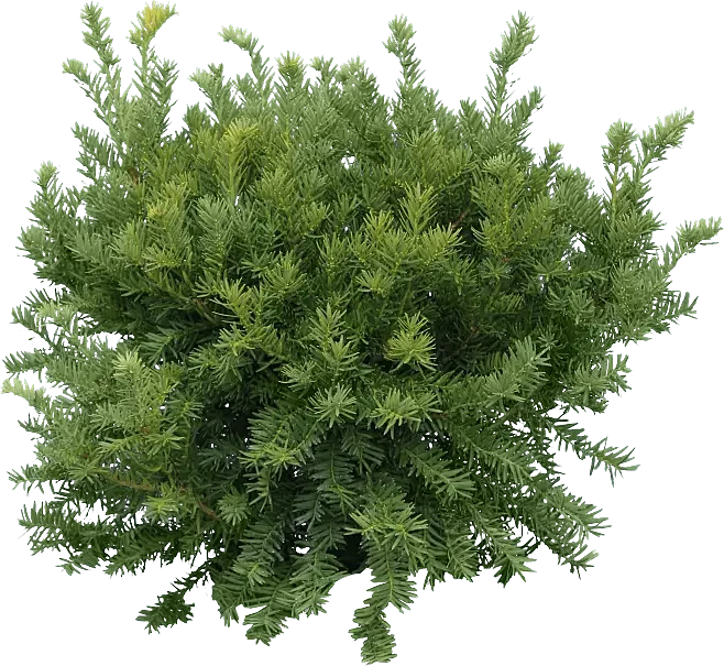 25723F76-7A99-49B4-BC7B-0B4F80D97297-花瓣网