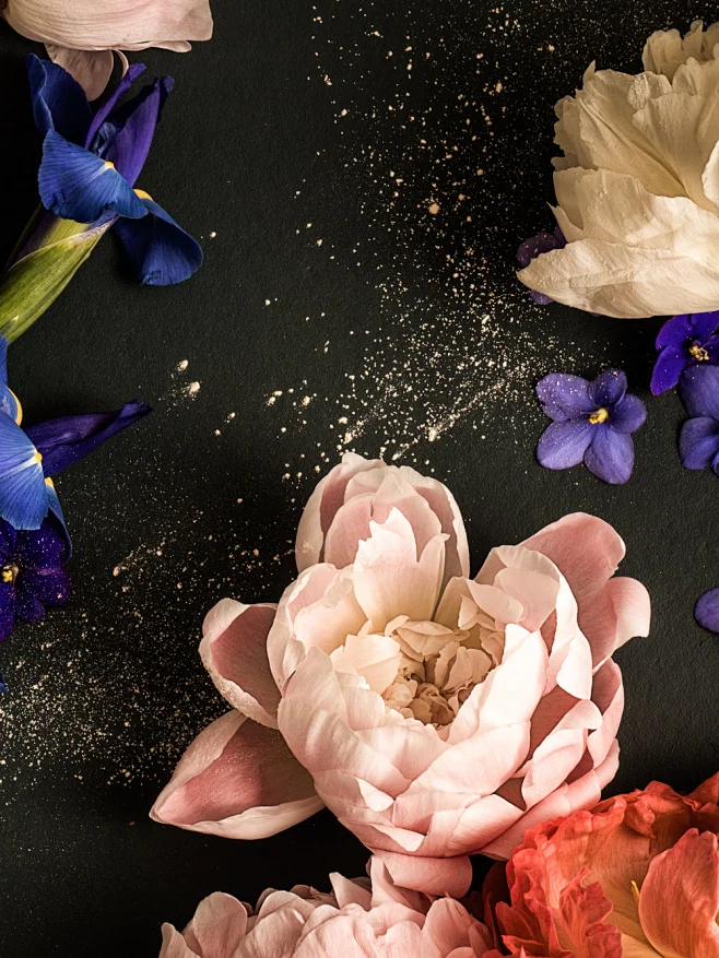 Prose.Fragrance-234.jpg-花瓣网